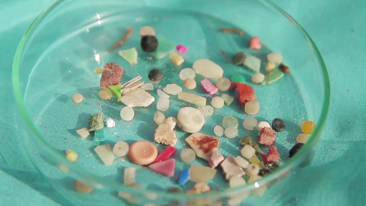 Mikroplastik - Die unsichtbare Gefahr - ORF ON Mikroplastik - Die unsichtbare Gefahr - ORF ON