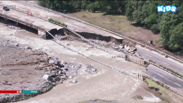 ZIB Zack Mini - ORF ON