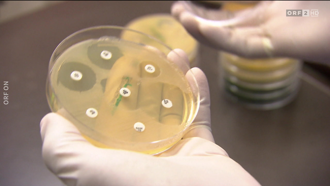 Signation | Themen - Mayrs Magazin - Wissen für alle vom 06.09.2024 ...