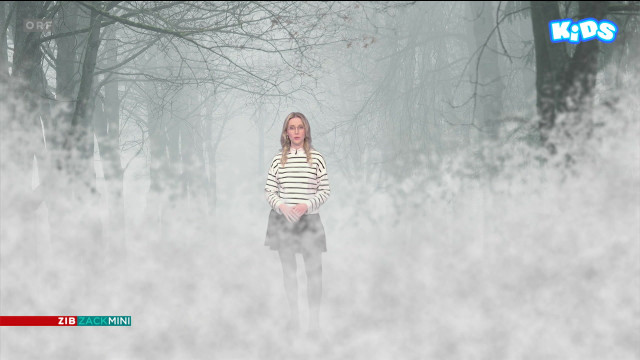 ZIB Zack Mini - ORF ON