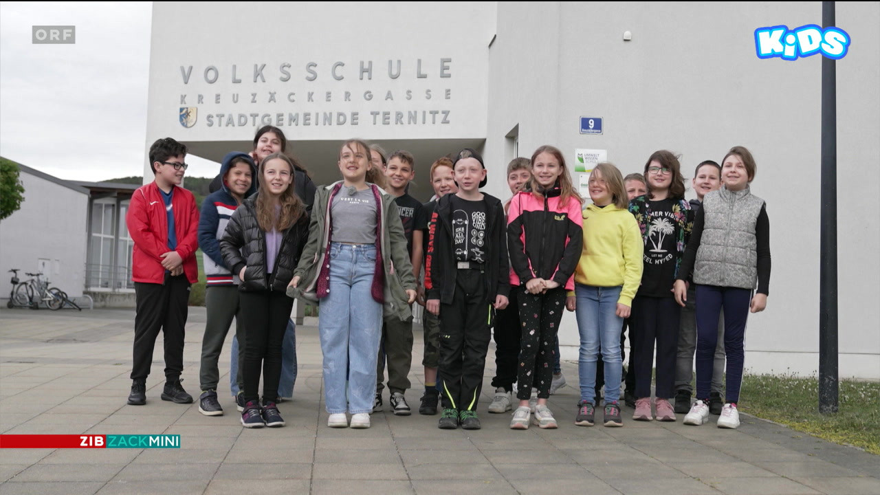 ZIB Zack Mini - ORF ON