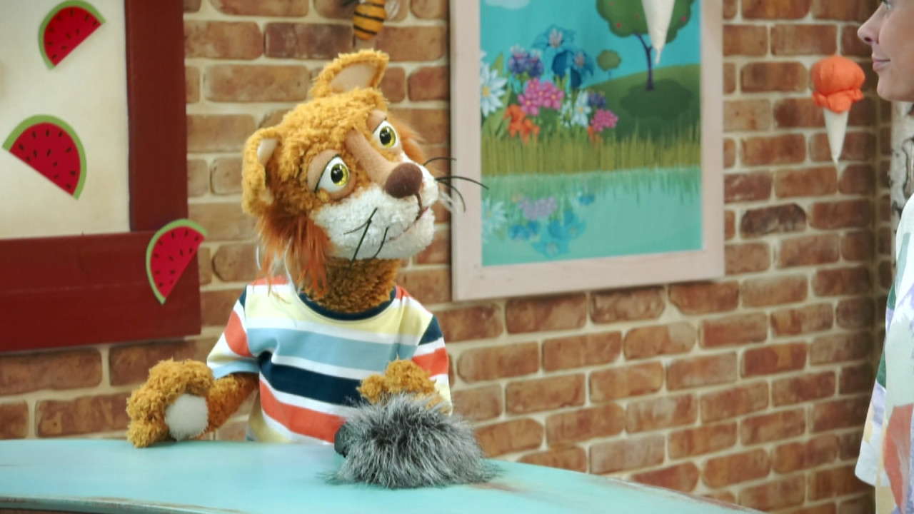 Hallo okidoki Teil 2 vom 02.08.2025 - ORF ON